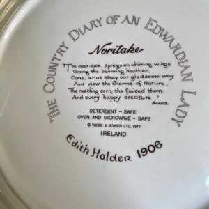 12” Chop Plate by Noritake "the Country Diary of an Edwardian Lady ...