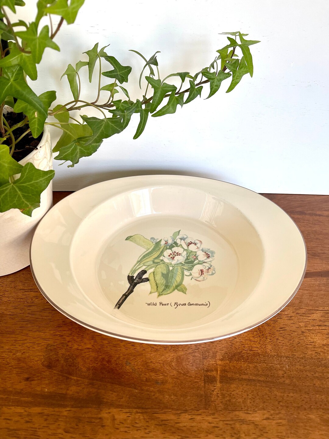 Noritake Country Diary of an Edwardian Lady Au Gratin Dish, Noritake ...