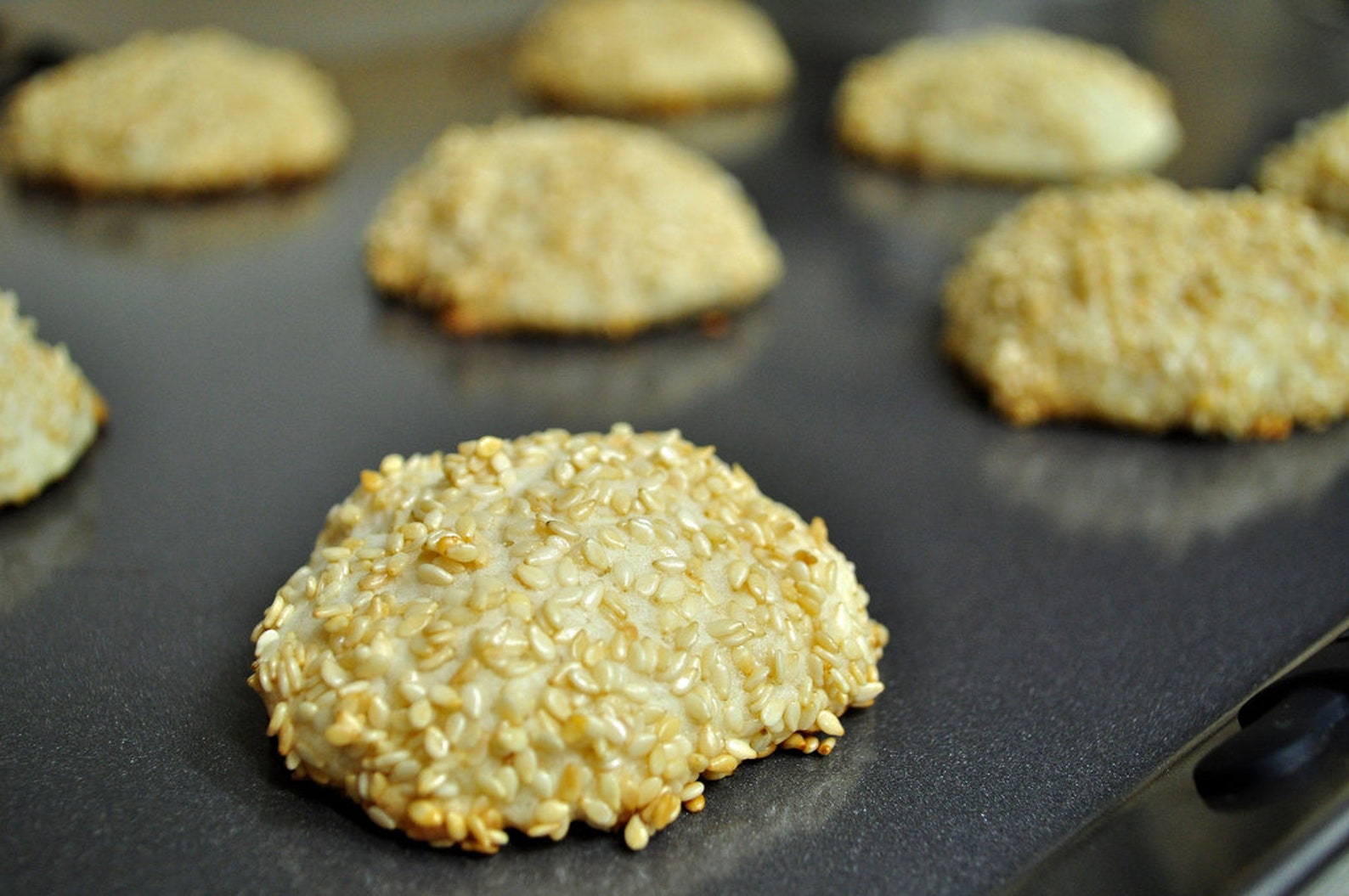 Barazek Cookies برازق Syrian Specialty, Sweets, Desserts, Cookies ...