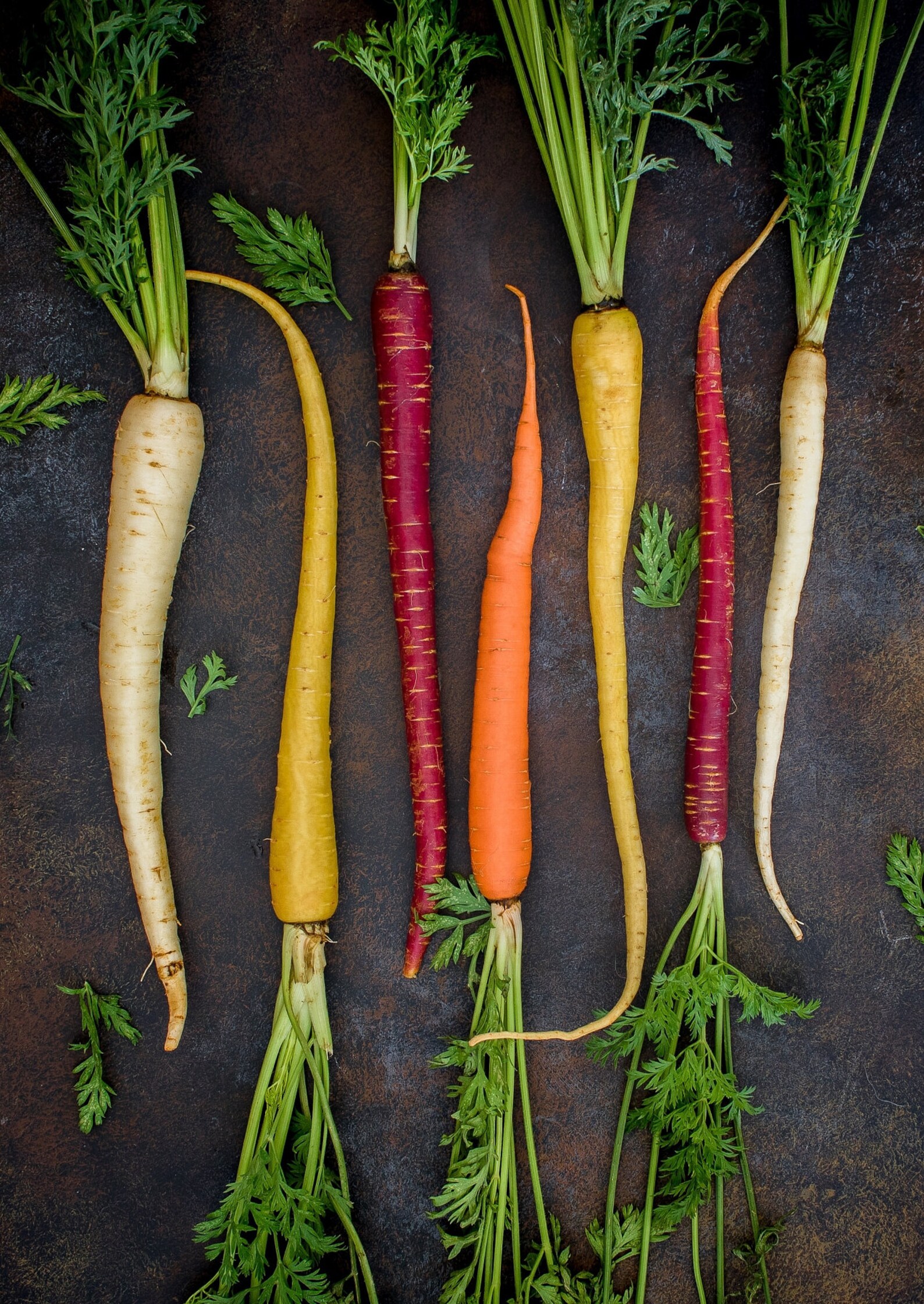 Farmhouse Colorful Carrots Lined up Carrots Healthy - Etsy