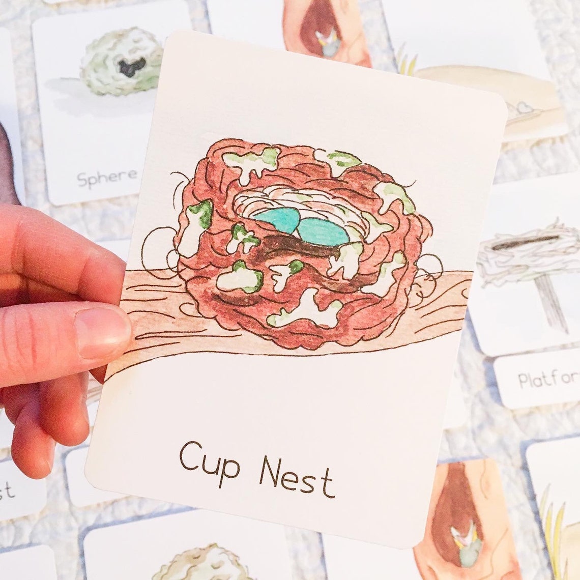 Bird Nests Poster & 3 Part Cards - Etsy