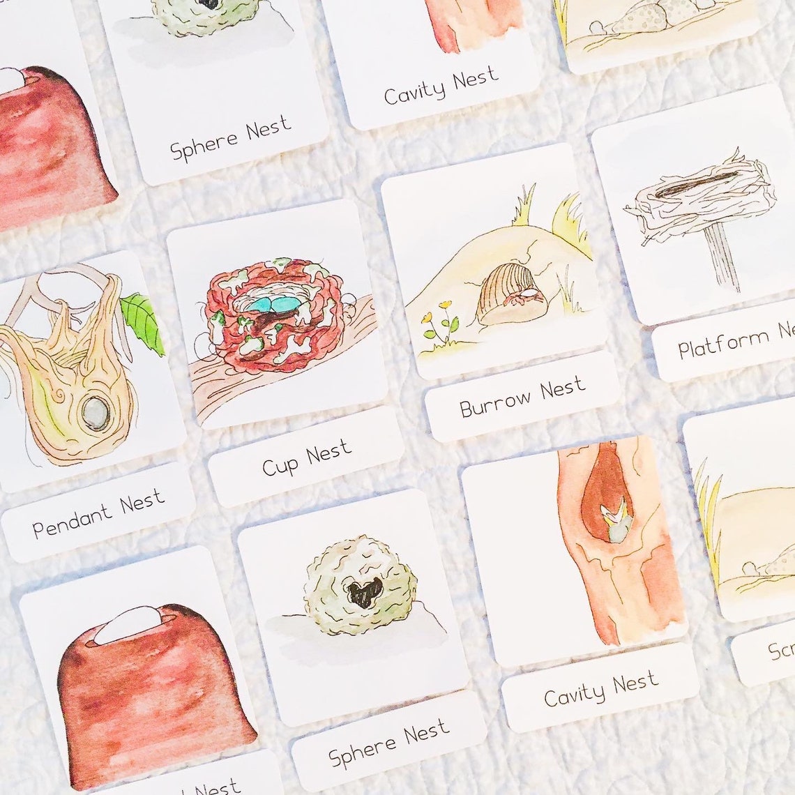 Bird Nests Poster & 3 Part Cards | Etsy