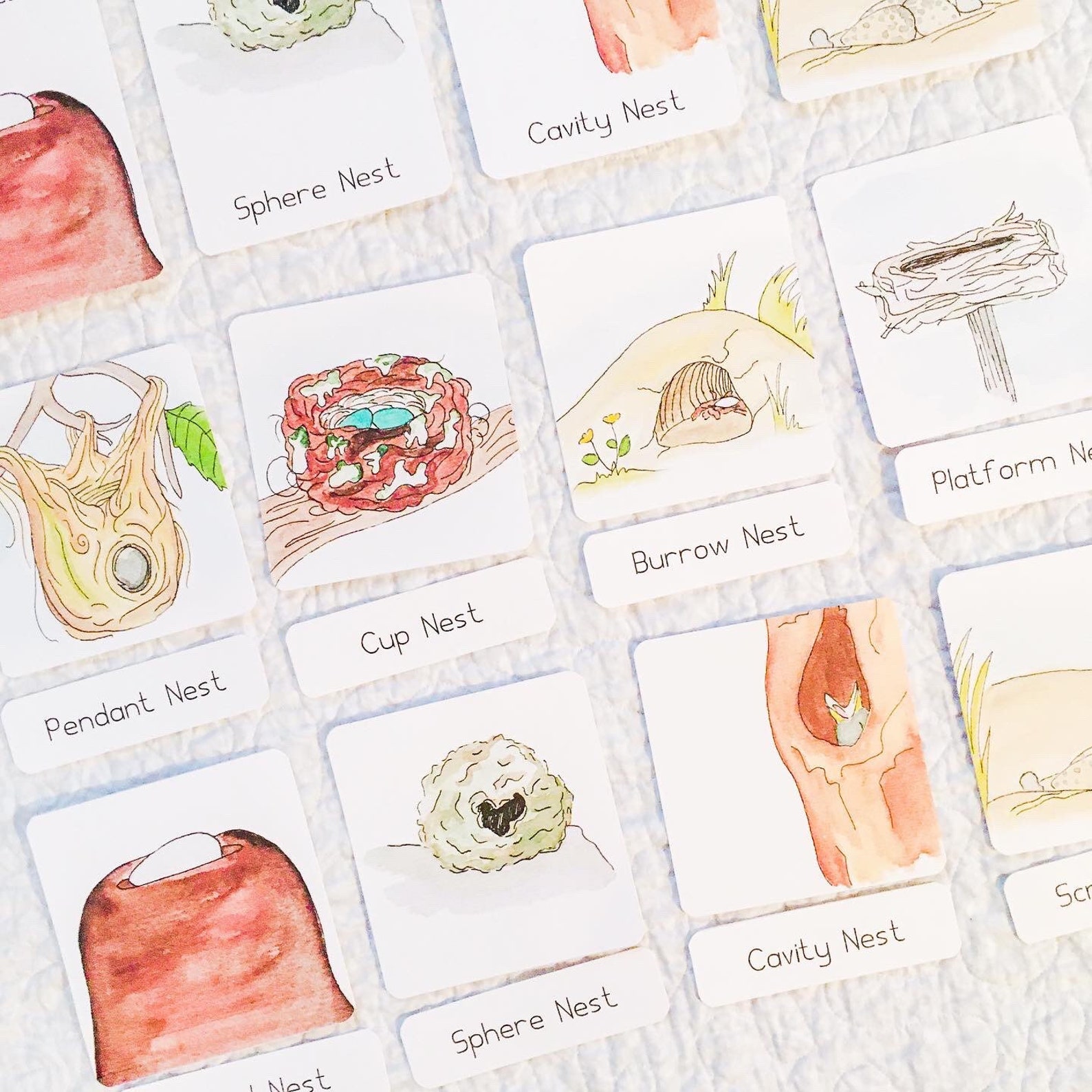 Bird Nests Poster & 3 Part Cards - Etsy