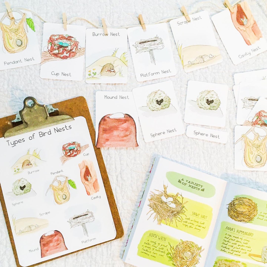 Bird Nests Poster & 3 Part Cards - Etsy