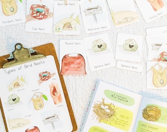 Bird NESTS Fact Cards, 3 Part Cards and Mini Poster, Nature, Digital ...