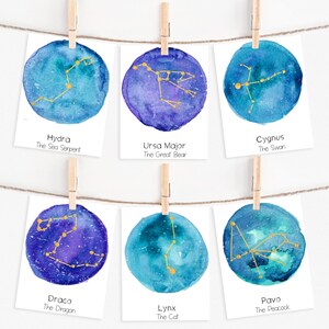 Constellations: Animals in the Night Sky 3 Part Cards, Homeschool ...