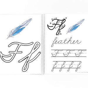 Anatomy of a Feather | Printable - Etsy