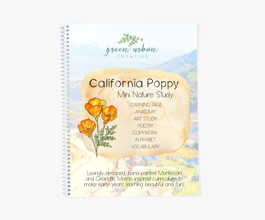 California Poppy Nature Exploration | Printable - Etsy