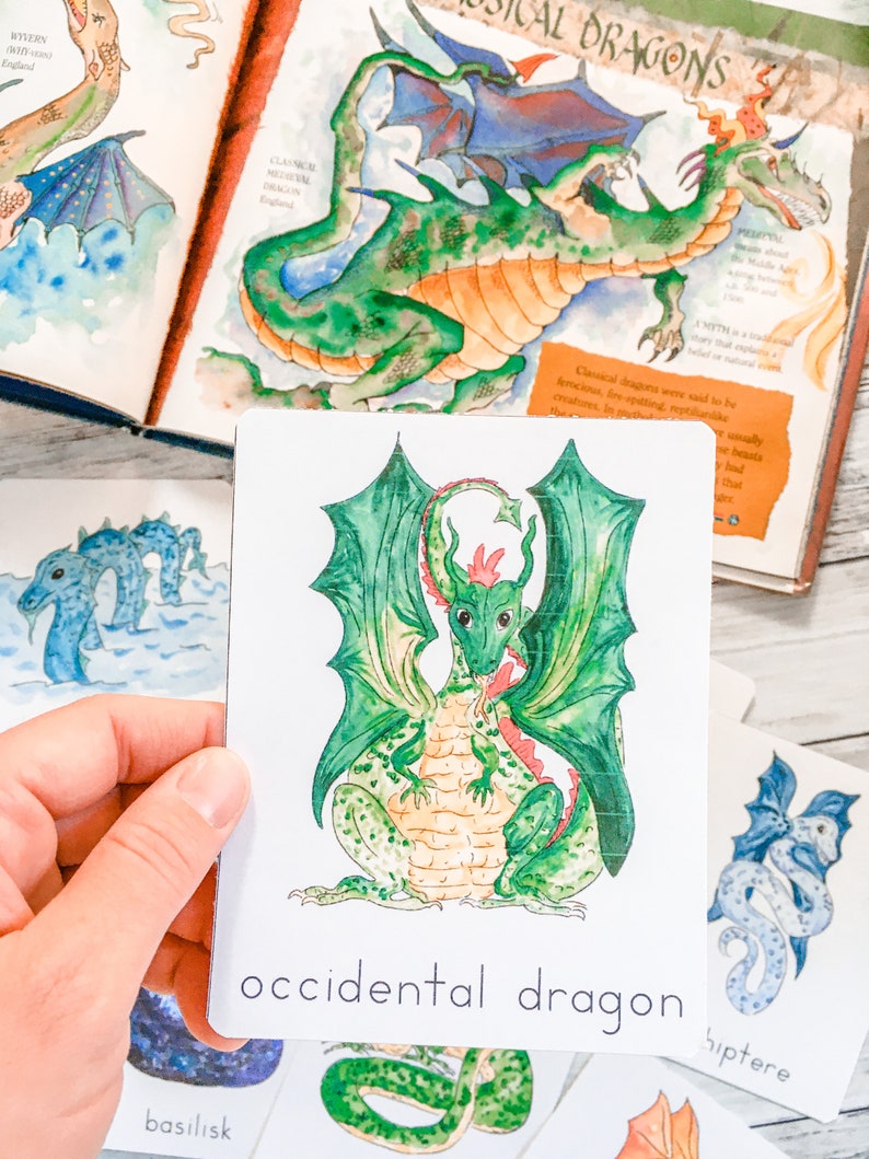 Dragon Types Flashcards Homeschool Fairy Tales Fantasy | Etsy