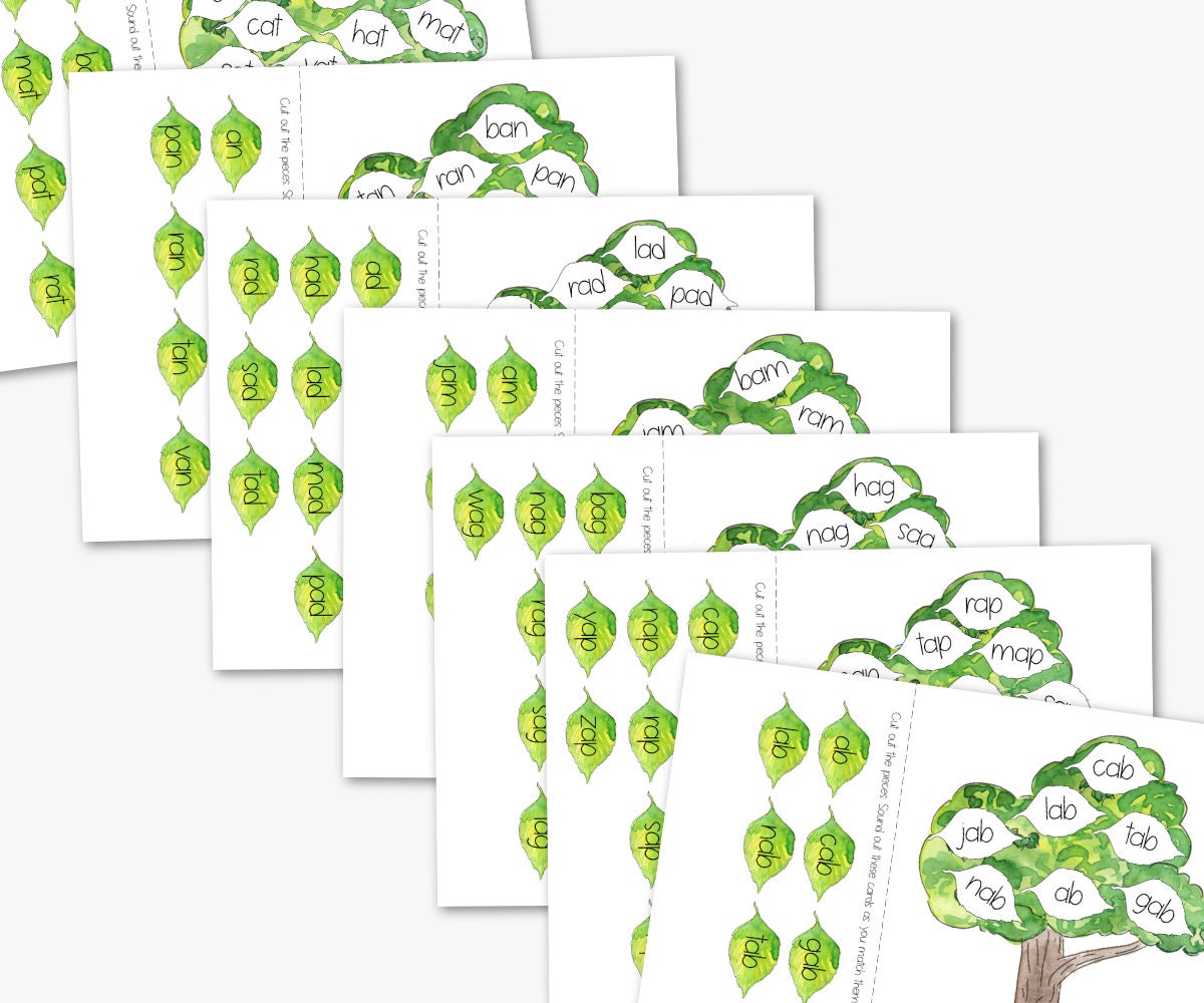 Short Vowel CVC Word Family Printable Activities - Etsy