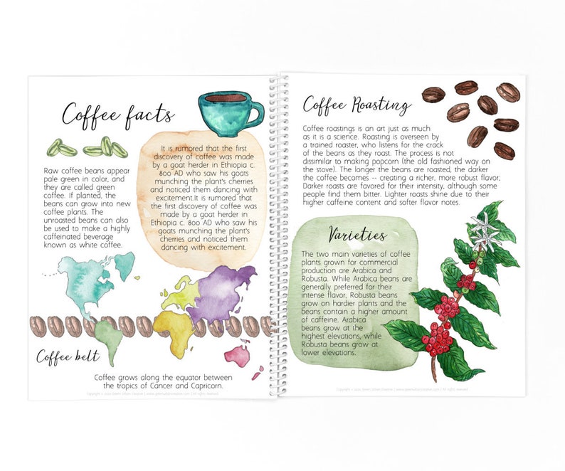 Coffee Plant Life Cycle Homeschool Montessori Printables - Etsy