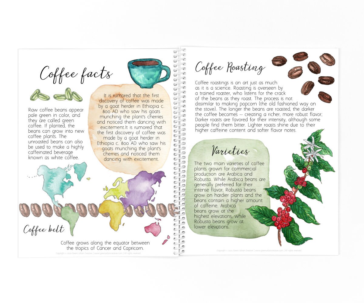 Coffee Plant Life Cycle Homeschool Montessori Printables - Etsy