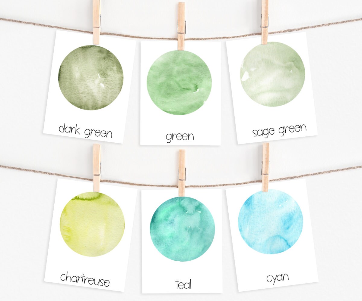 Colors 3 Part Cards Homeschool Montessori Early Years Learning - Etsy