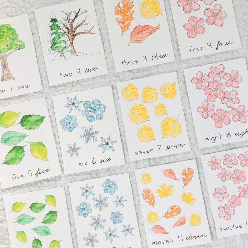 Seasons Counting Cards - Etsy