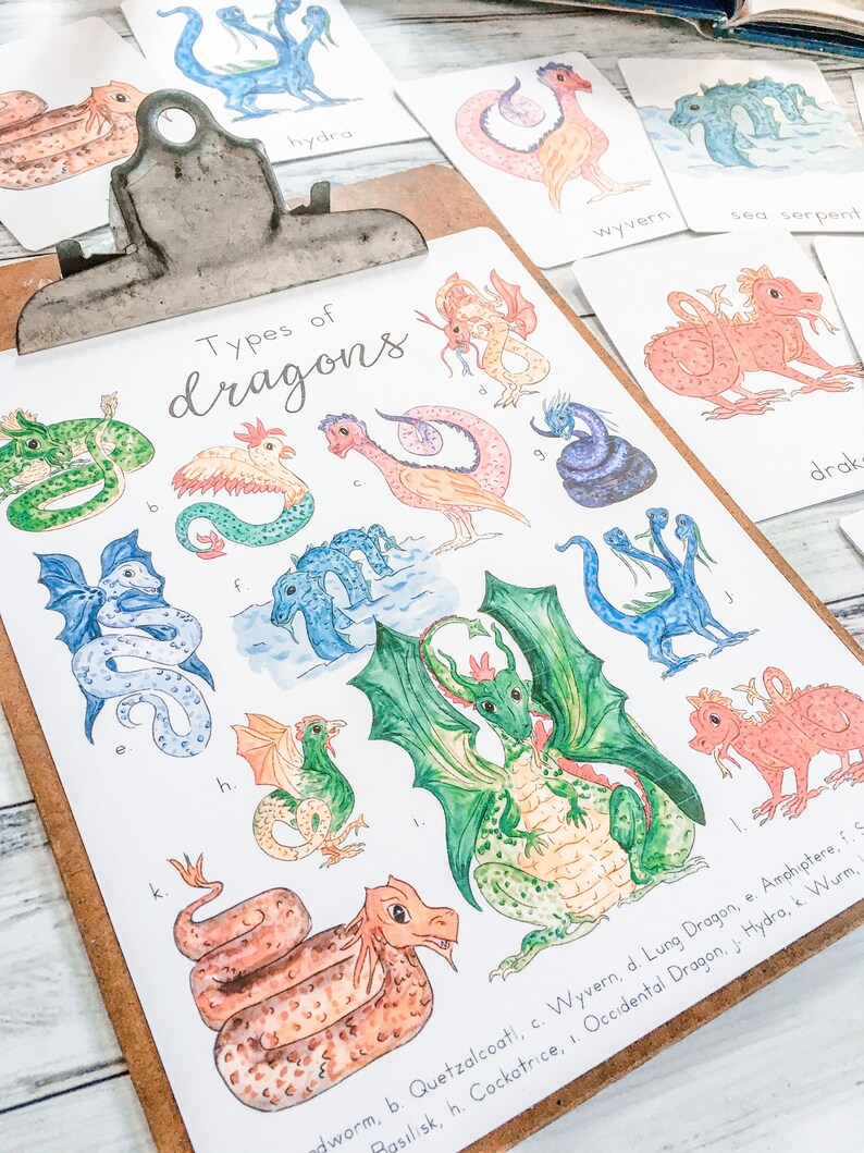 Dragon Types Flashcards Homeschool Fairy Tales Fantasy | Etsy