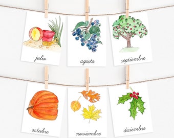 Meses Del Año - Etsy