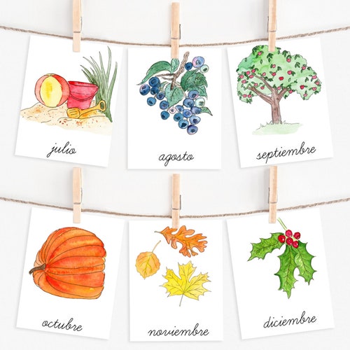 Months of the Year SPANISH Meses Del Año Homeschool - Etsy
