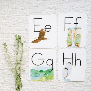 Watercolor Nature Alphabet Banner Classroom Decor - Etsy