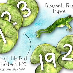 Lily Pad Number Line, Interactive Play Based Math Learning Activity ...