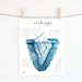 Iceberg Invitation: Unit Study Printables & Flashcards for Homeschool ...