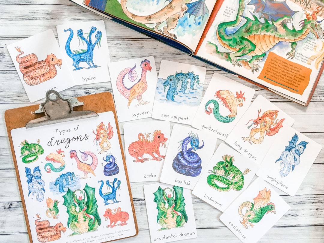 Dragon Types Flashcards | Homeschool Fairy Tales Fantasy Printables - Etsy