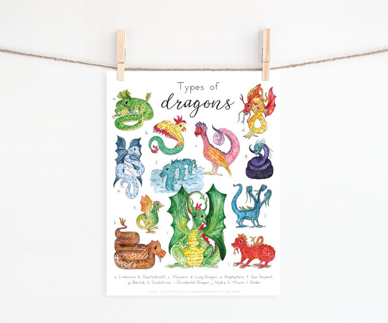 Dragon Types Flashcards Homeschool Fairy Tales Fantasy - Etsy