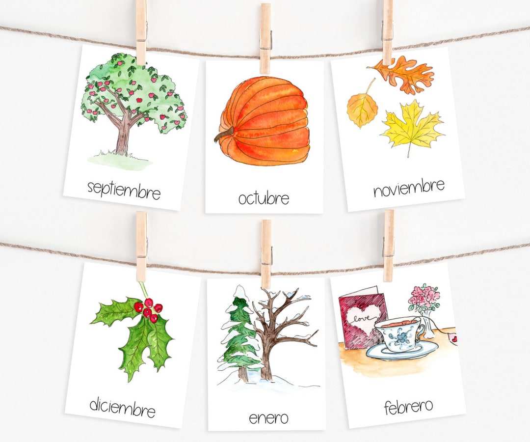 Months of the Year SPANISH, Meses Del Año, Homeschool Montessori ...