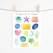 Watercolor Shapes Poster and 3 Part Cards Homeschool Montessori Early ...
