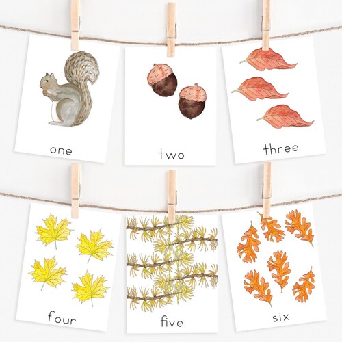 Autumn Counting Cards - Etsy