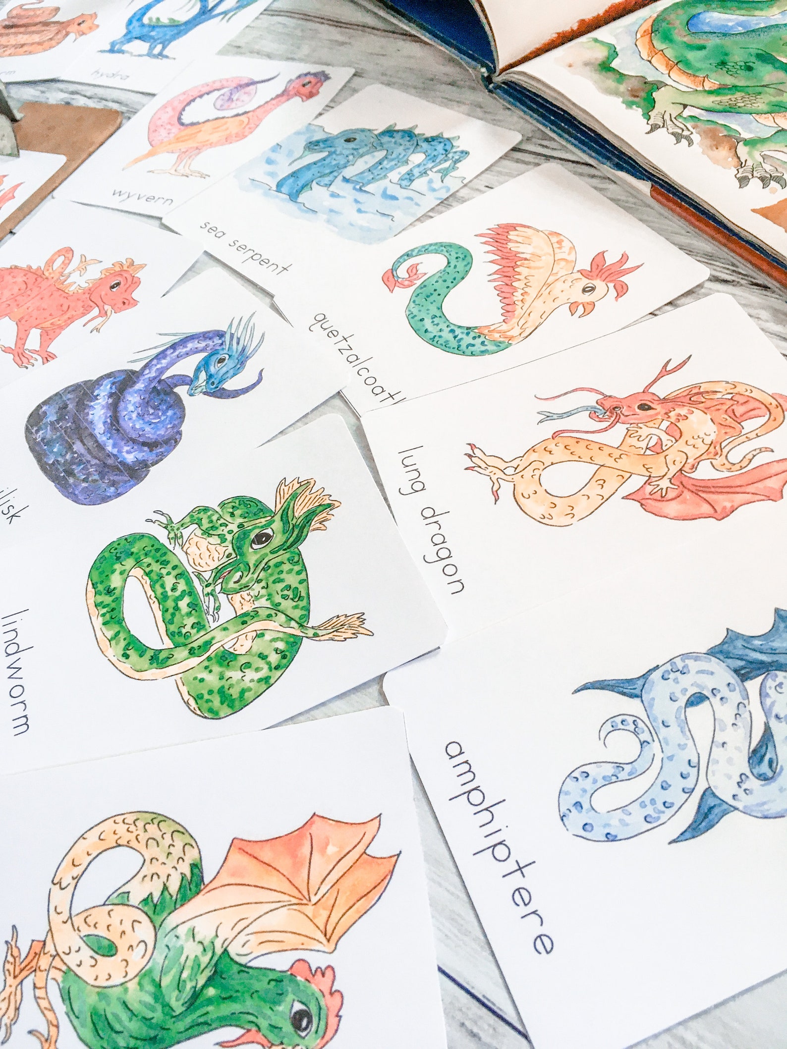 Dragon Types Flashcards Homeschool Fairy Tales Fantasy | Etsy