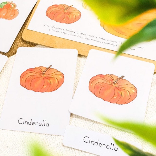 Pumpkin Varieties Montessori 3 Part Cards Homeschool - Etsy