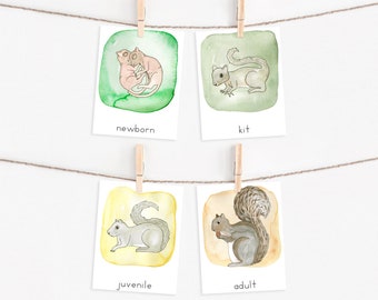 FRENCH Classroom Calendar Printable - Etsy