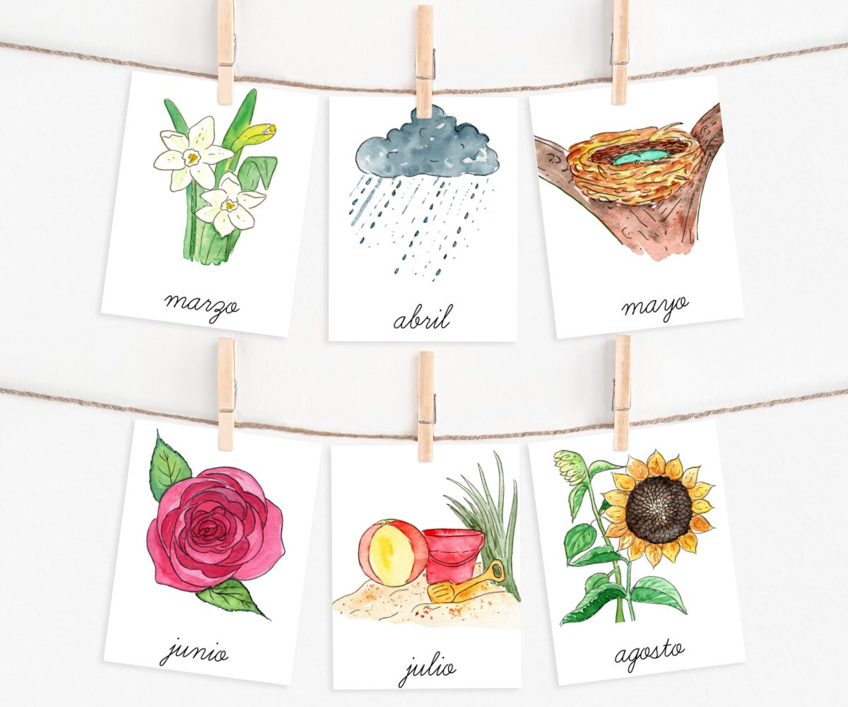Months of the Year SPANISH, Meses Del Año, Homeschool Montessori ...
