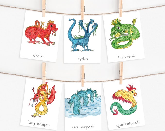 Dragon Types Flashcards Homeschool Fairy Tales Fantasy - Etsy