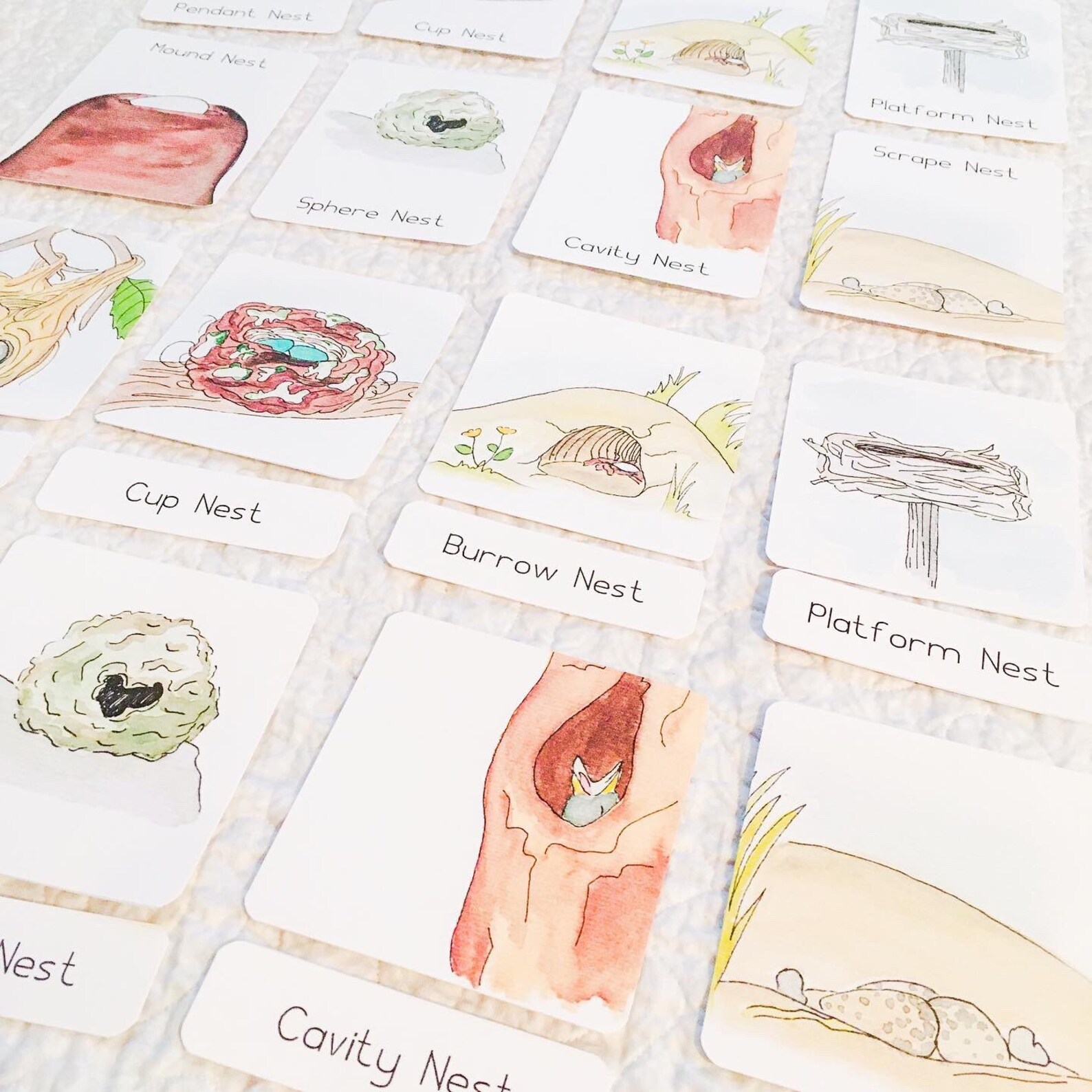 Bird Nests Poster & 3 Part Cards | Etsy