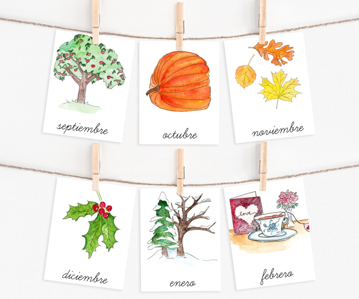 Months of the Year SPANISH, Meses Del Año, Homeschool Montessori ...