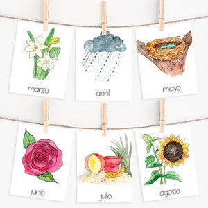 Months of the Year SPANISH, Meses Del Año, Homeschool Montessori ...