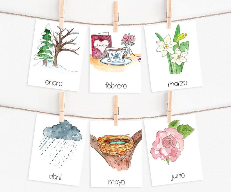 Months of the Year SPANISH Meses Del Año Homeschool - Etsy
