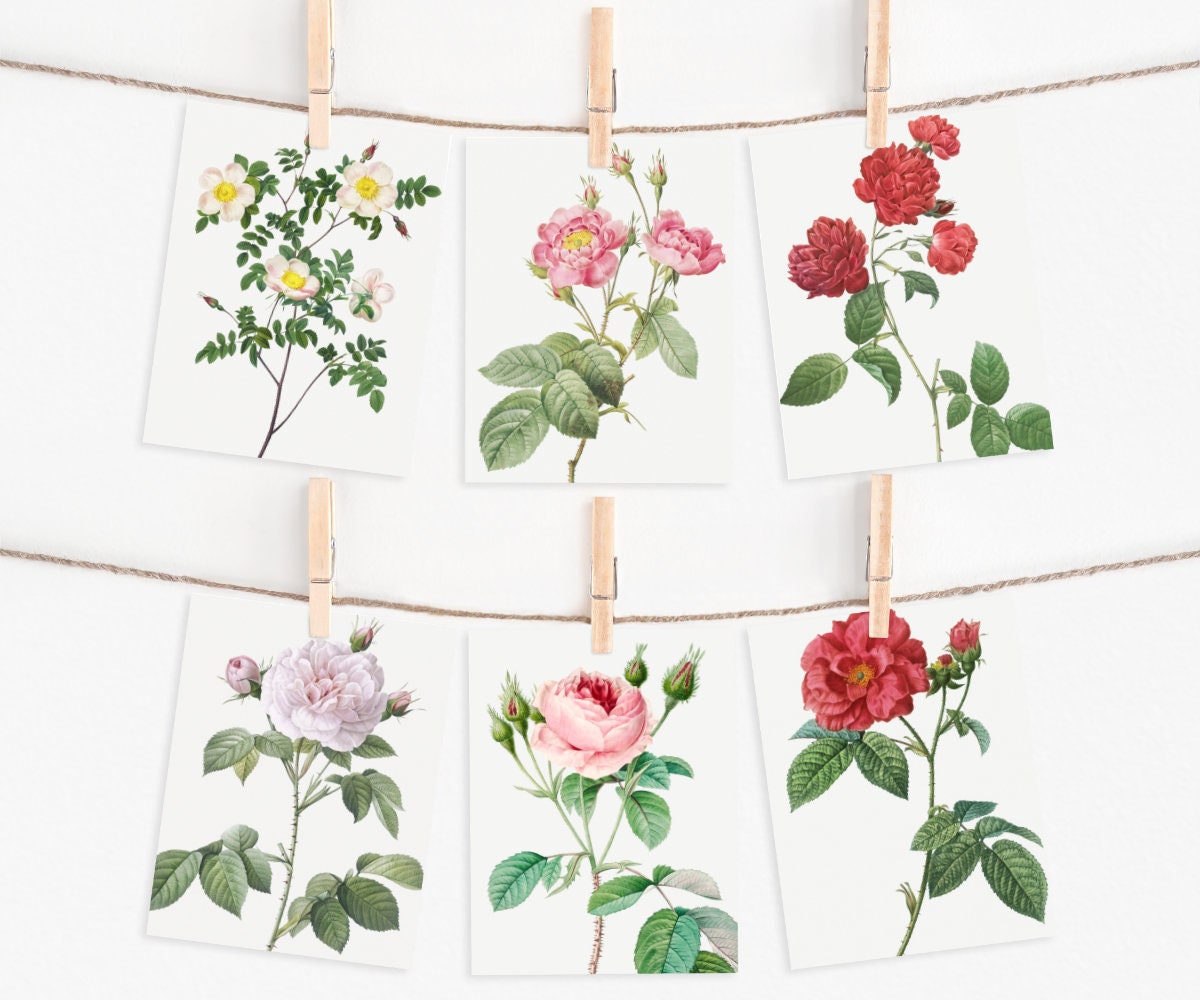 Vintage Rose Postcards Valentine's Day Printable | Etsy