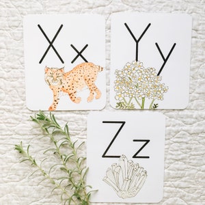 Watercolor Nature Alphabet Banner Classroom Decor - Etsy