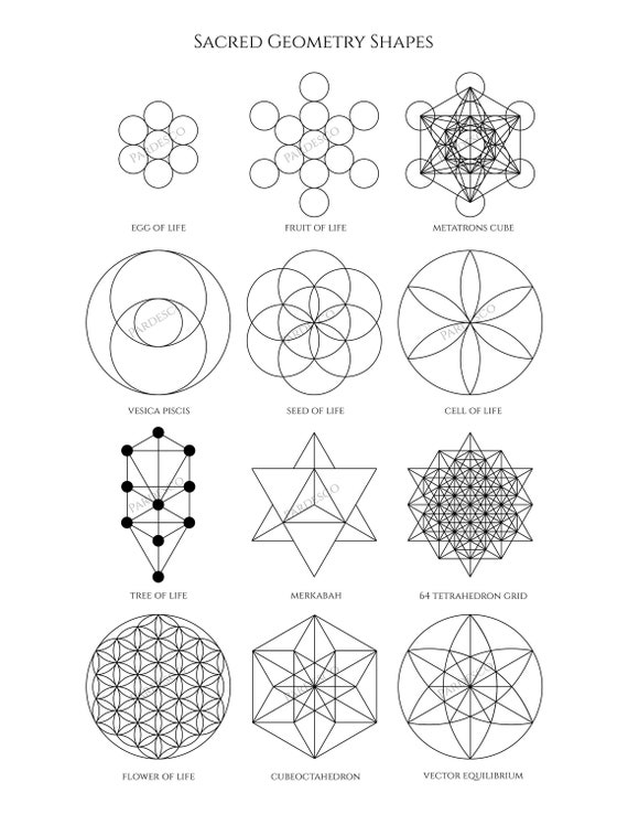 Sacred Geometry Vector