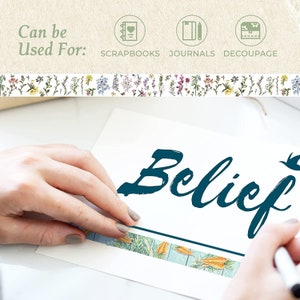 Peter Rabbit Washi Tapes Set of 5 Rolls. Extra Wide and Long - Etsy