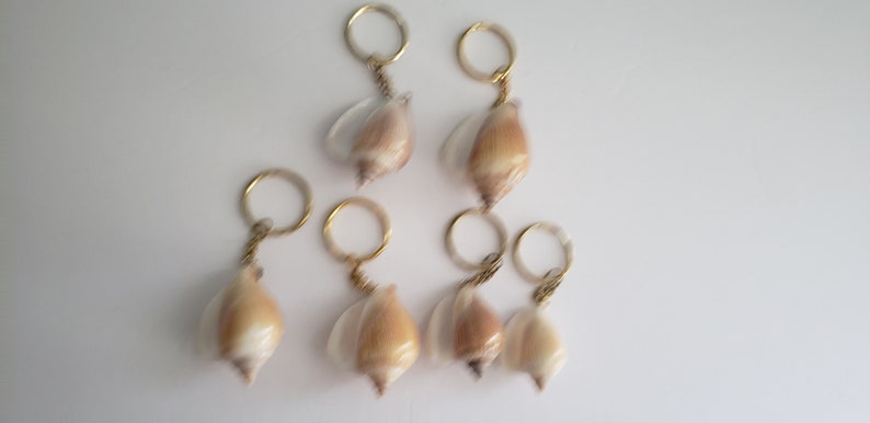 Shell Key Chains OM Shell Key Chains From India Beach - Etsy
