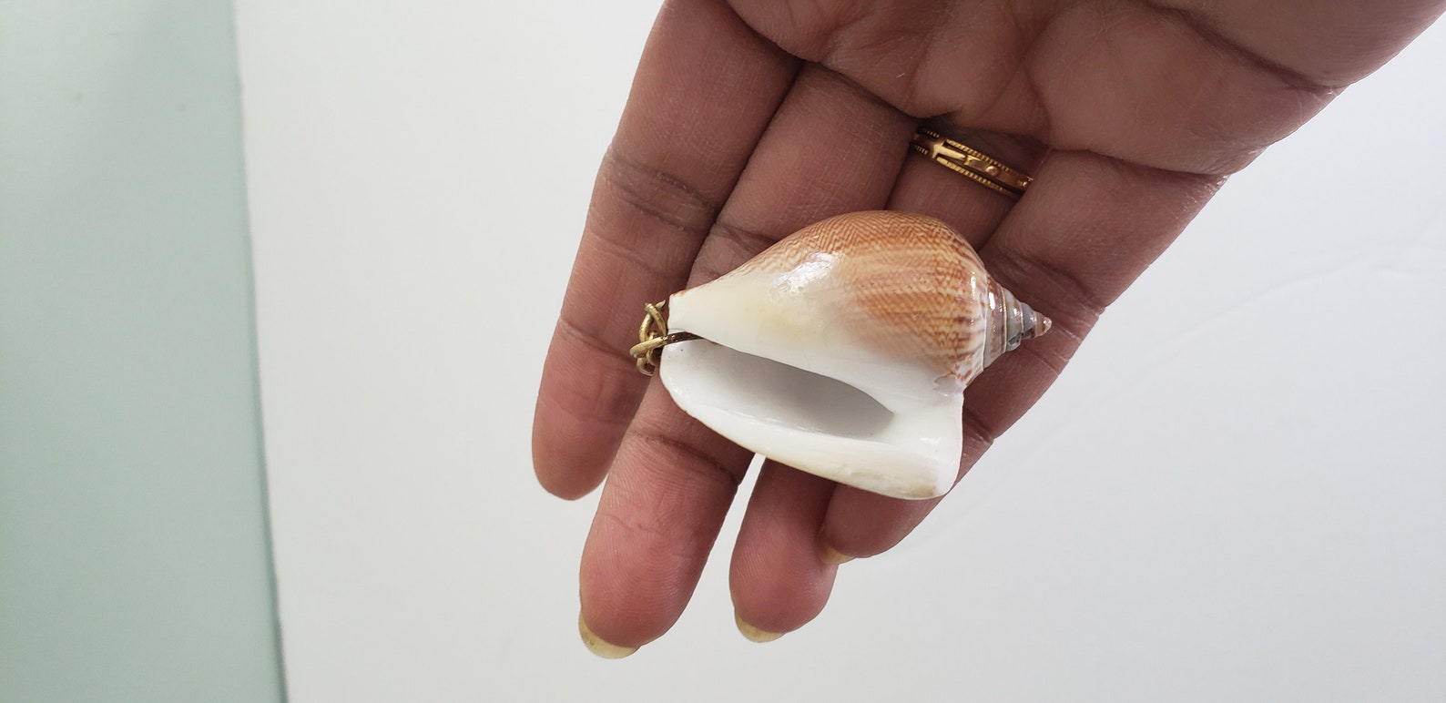 Shell Key Chains OM Shell Key Chains From India Beach - Etsy