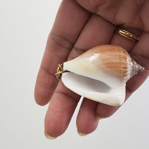 Shell Key Chains, OM Shell Key Chains From India, Beach Accessory ...