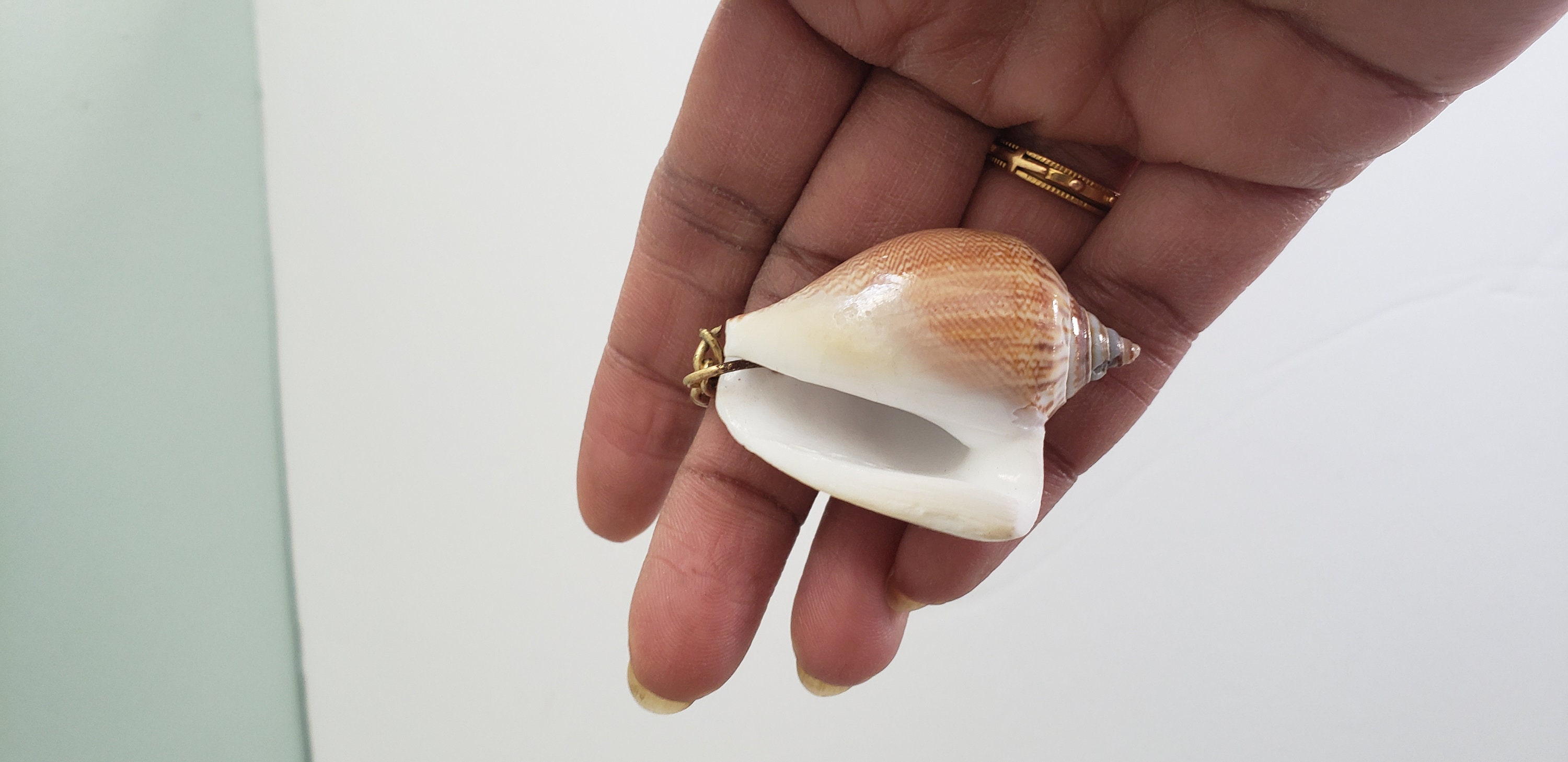 Shell Key Chains OM Shell Key Chains From India Beach - Etsy