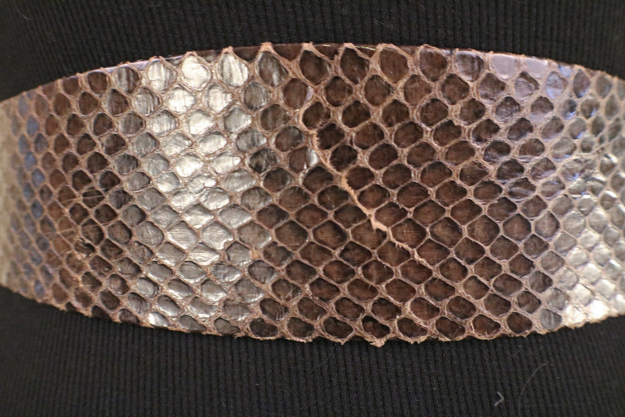 80's Snake Skin Adjustable Statement Belt - Etsy