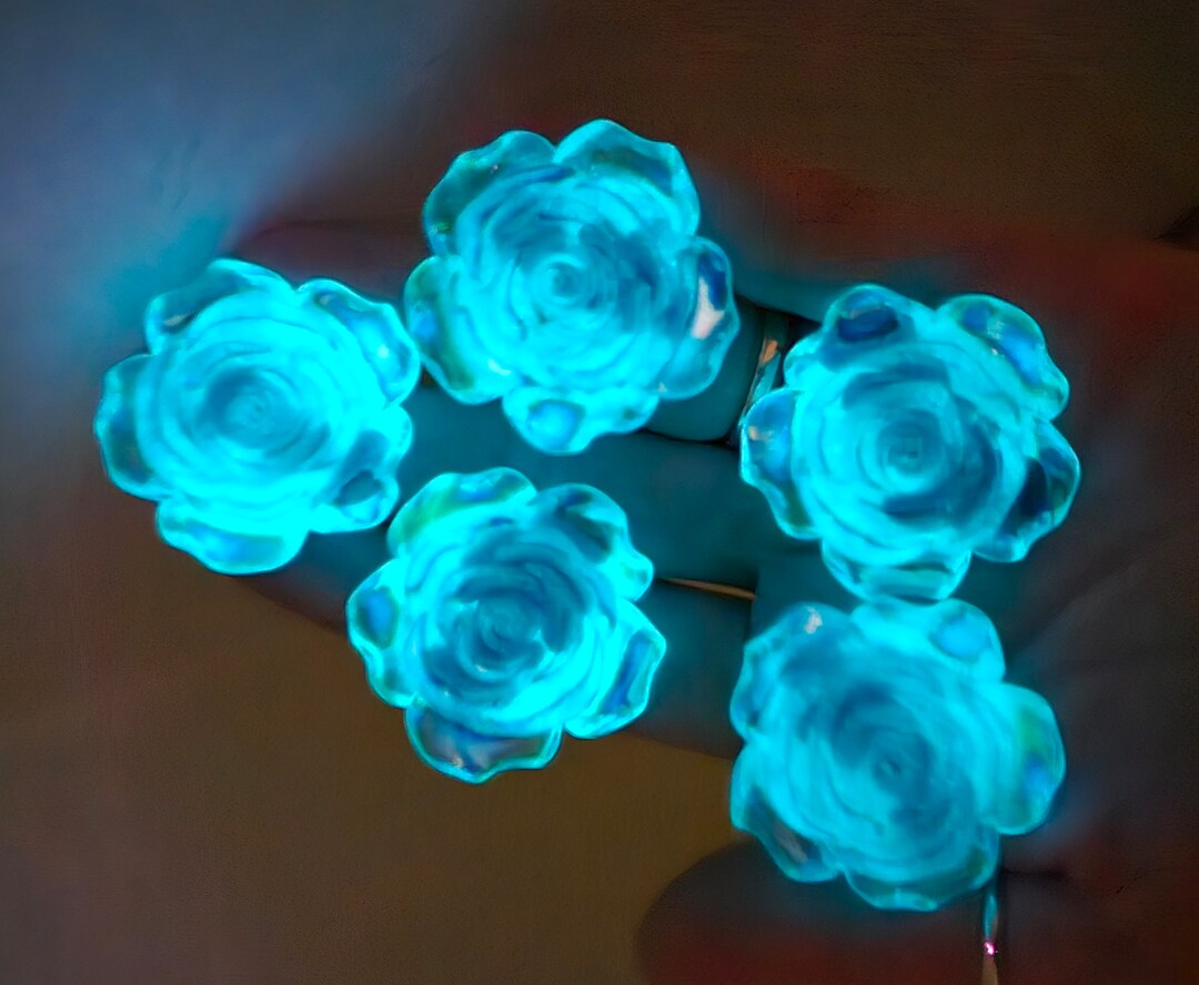 Glow in the Dark Resin Rose Magnets / Blue Roses / Blue Rose - Etsy