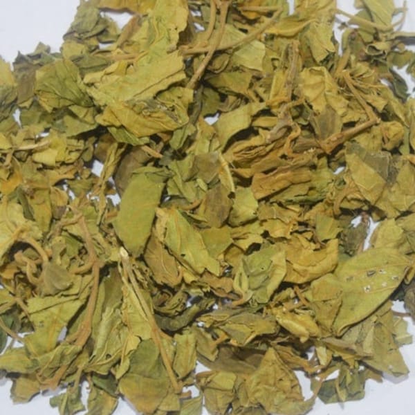 Gurmar Tea - Etsy Australia