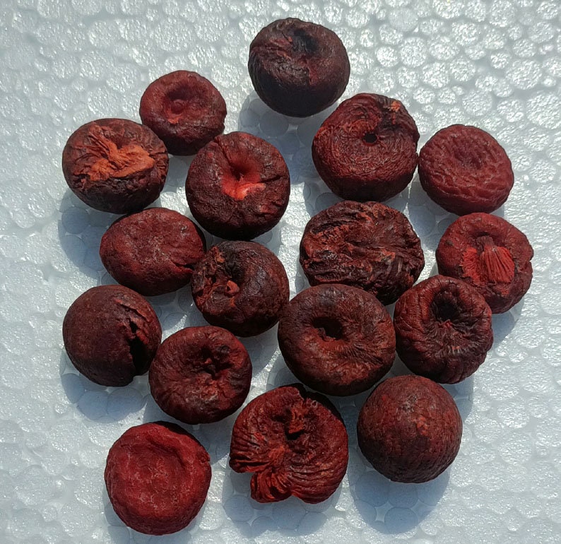 Chikni Supari Whole Supari Lal Areca Nut Chol Supari Whole Areca ...